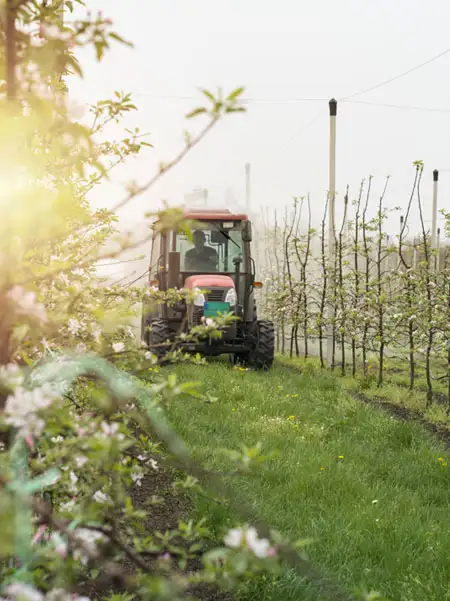 About – Stacy Farms