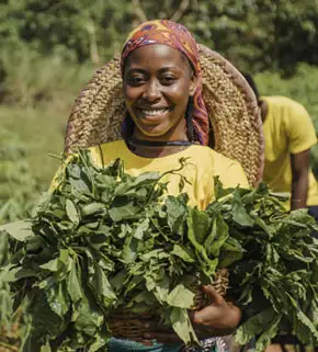 About – Stacy Farms