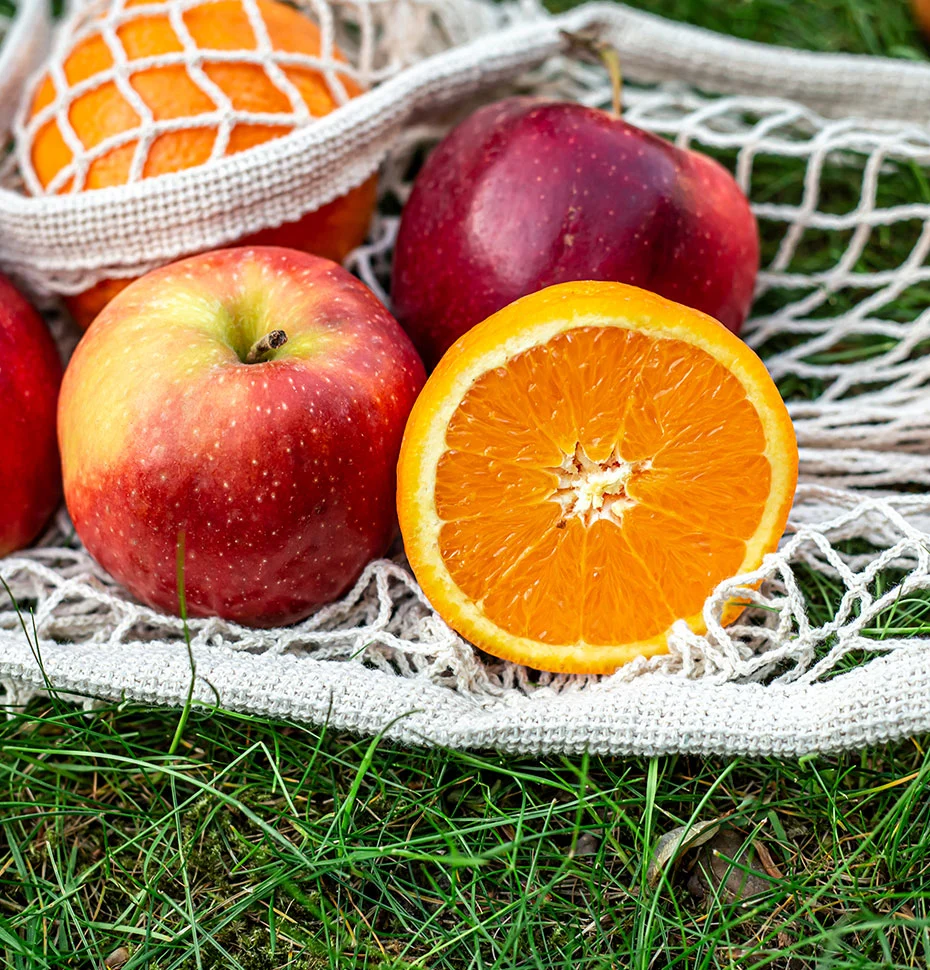 Services – Stacy Farms